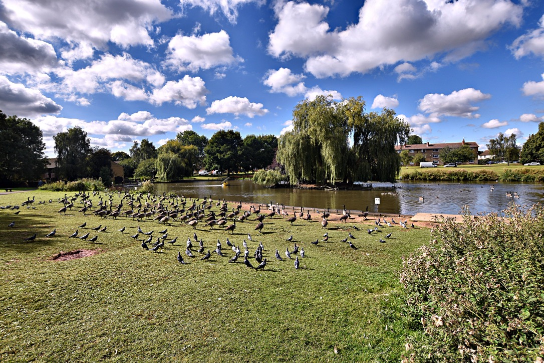 Cheylesmore | Tailor Made Sales and Lettings